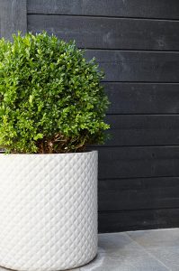 Dempet-Sort-2-678 - Jotun Uteinspirasjon