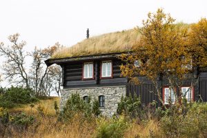 Nytt fargekart for TREBITT Oljebeis - Jotun Uteinspirasjon