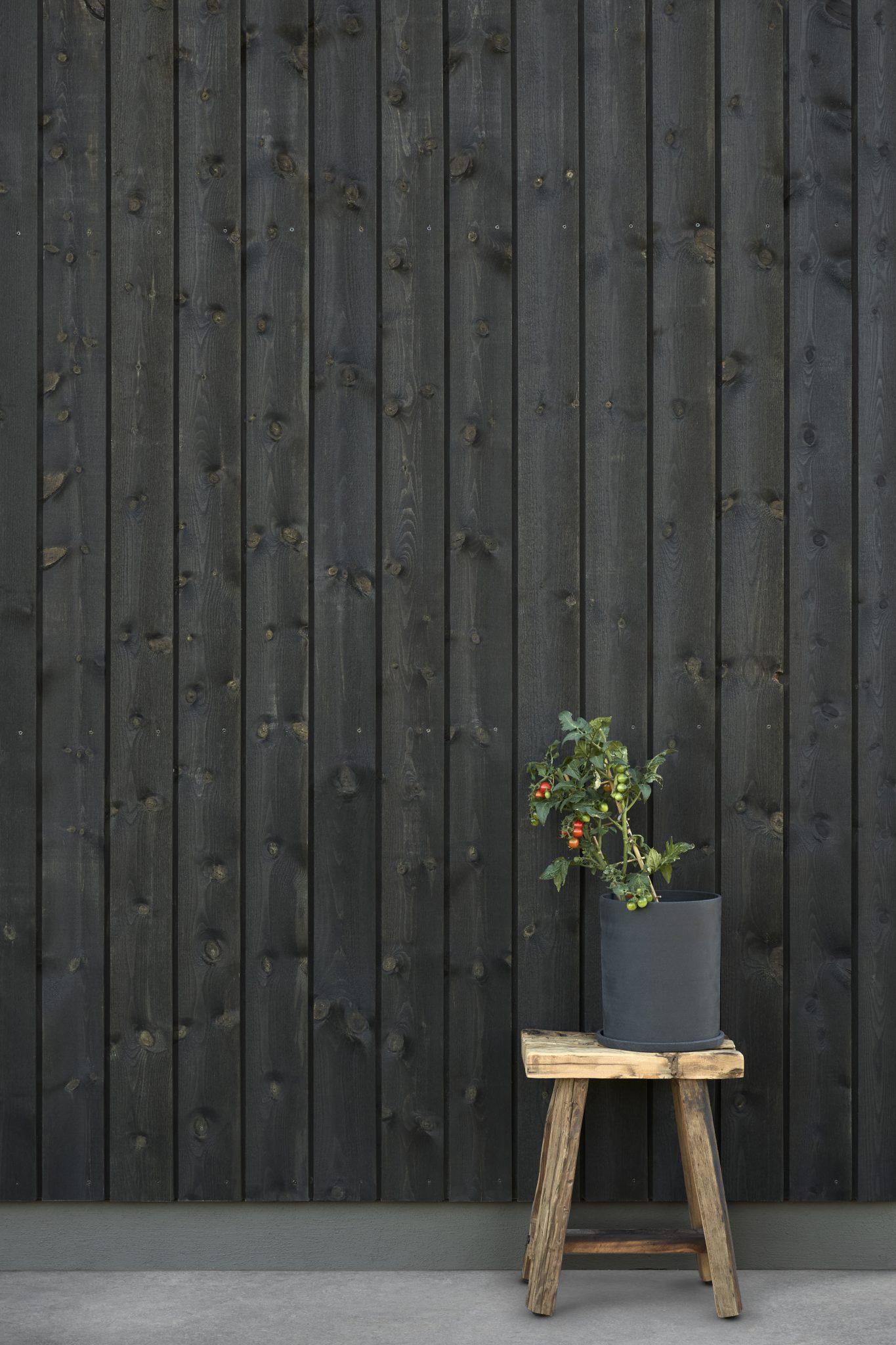 Gi nytt liv til din impregnerte kledning med TREBITT WoodCare